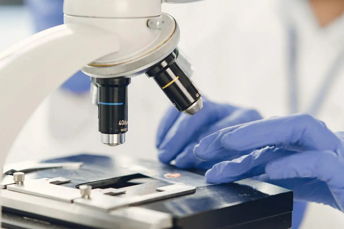 Pourquoi utiliser un Microscope Électronique plutôt qu'un microscope ...