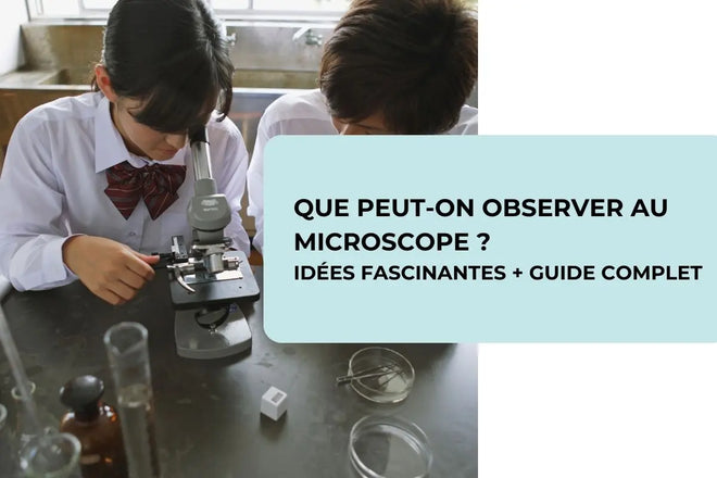 Que peut-on observer au microscope ? Idées fascinantes + Guide Ultime
