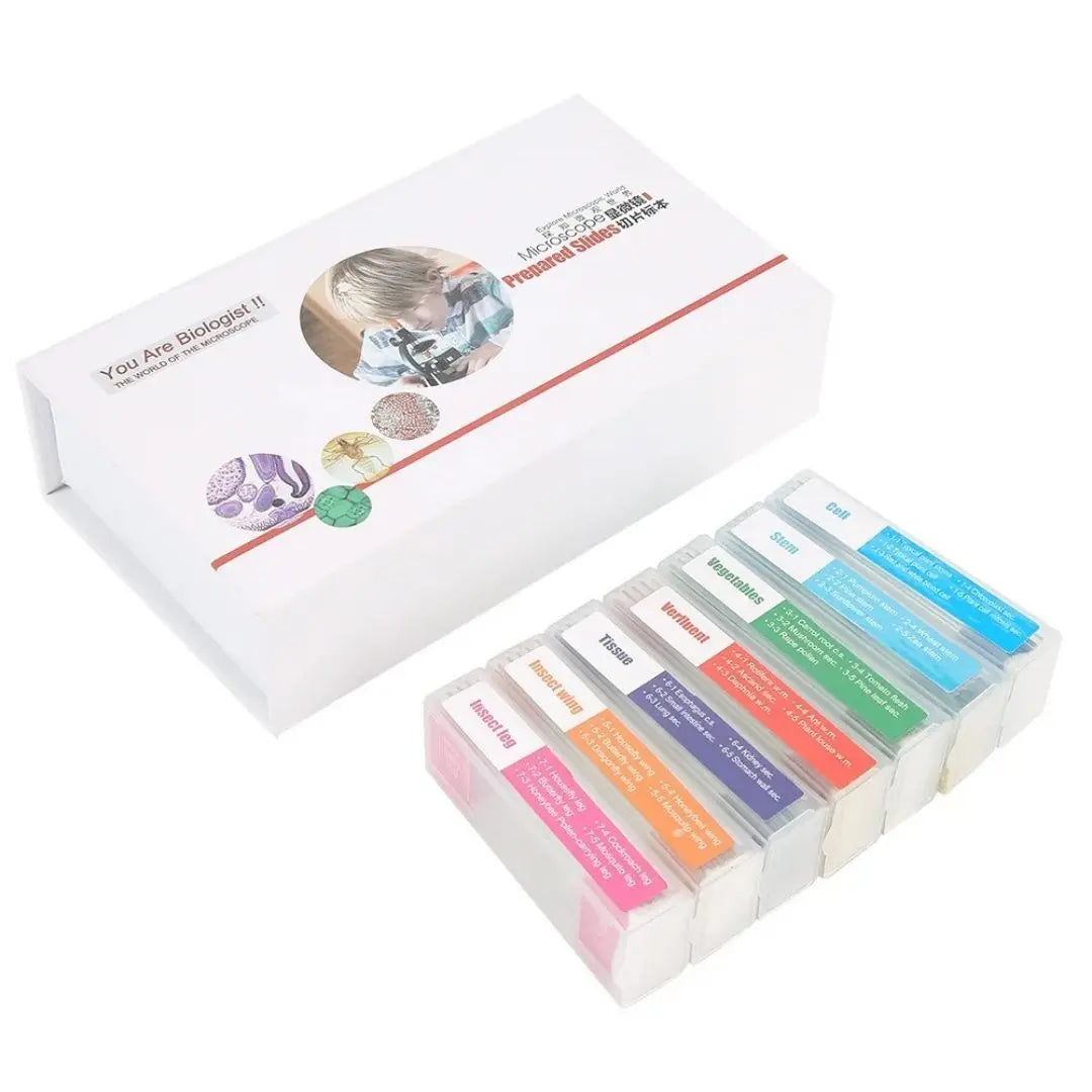 Lames microscope préparées – Coffret 35 pièces EduSlide™ – BBChoupette